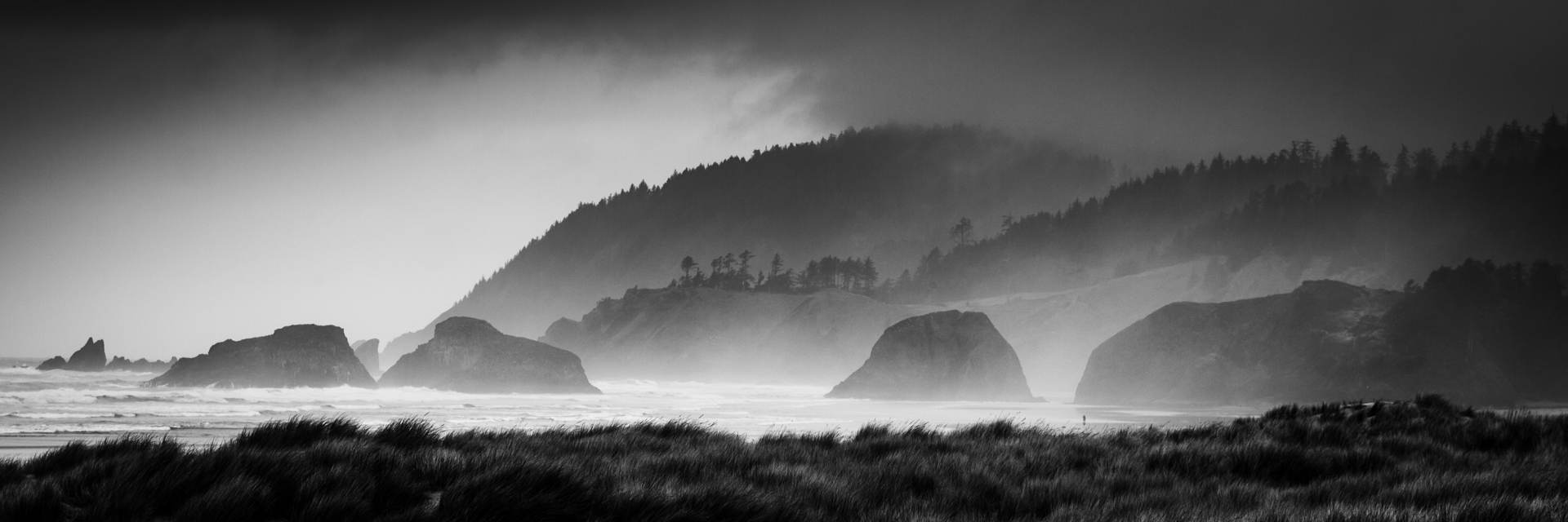 Home - Delta Photo Club