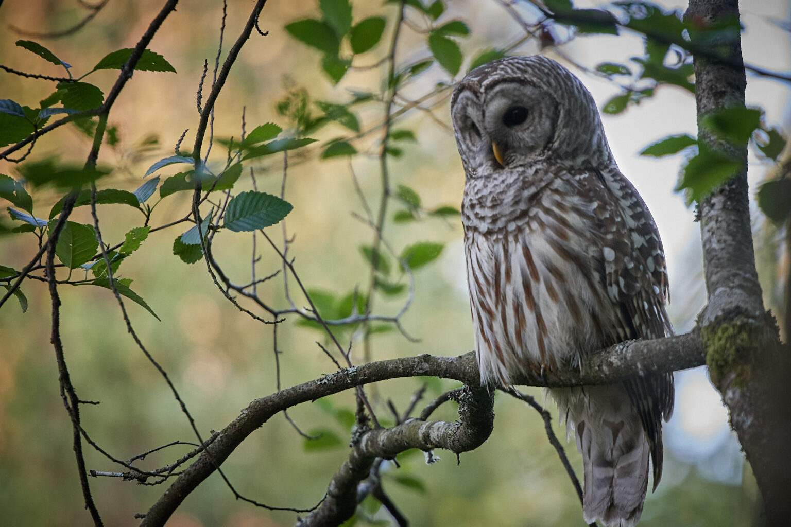 Outing – Burns Bog Delta Nature Reserve - Delta Photo Club